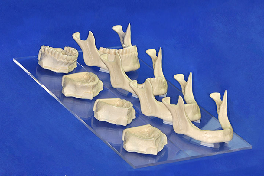 Kits - BONEMODELS S.L.U.