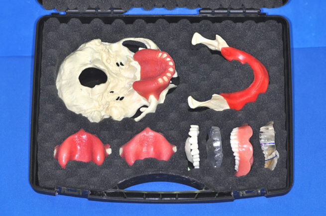 Kits - BONEMODELS S.L.U.